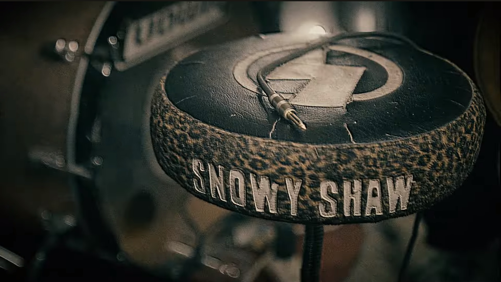 Did Apocalyptica just reveal Snowy Shaw as their new drummer? - Chaoszine