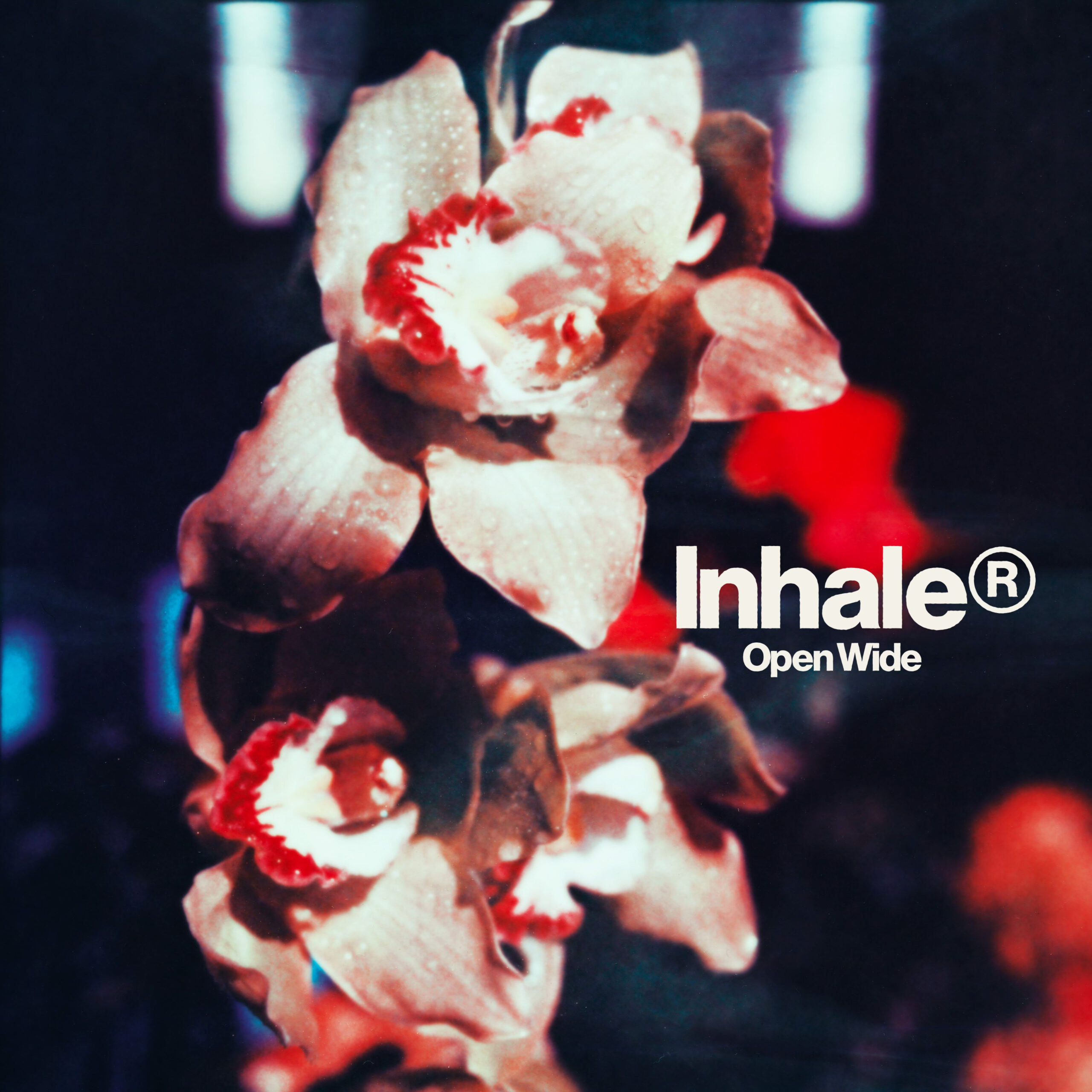 Inhaler's new album “Open Wide” available now - Chaoszine