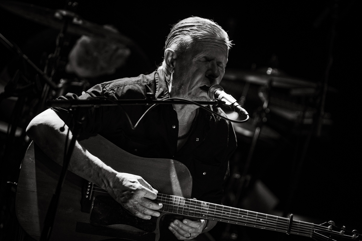 Swans to release their 17th studio album in May - Chaoszine